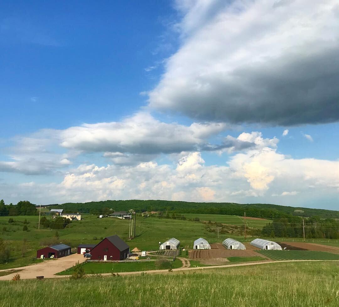 Strengthening Small Livestock Farms Through Peer Collaboration ...